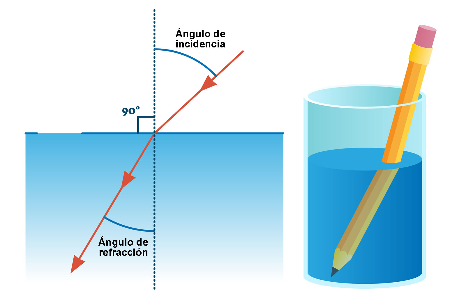 LUZ