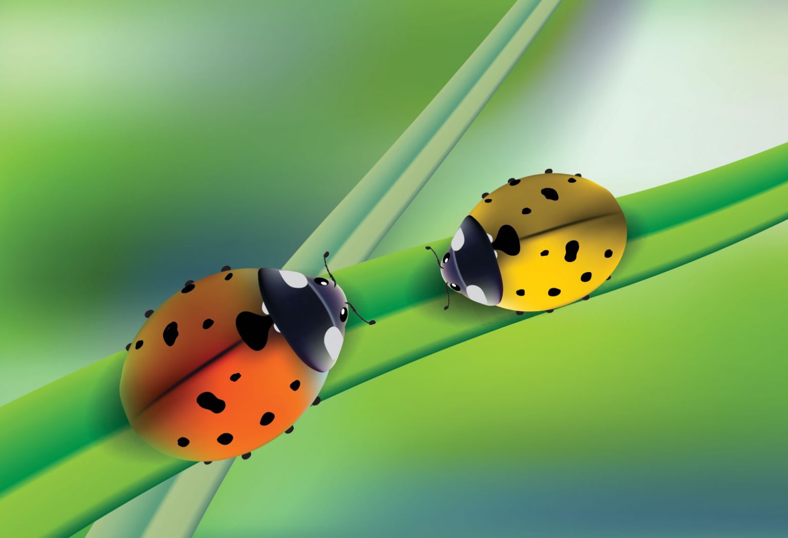 Significado de biología «Definición, importancia, y características»