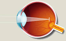 Definición de Acomodación