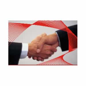 Definición de Adjudicación